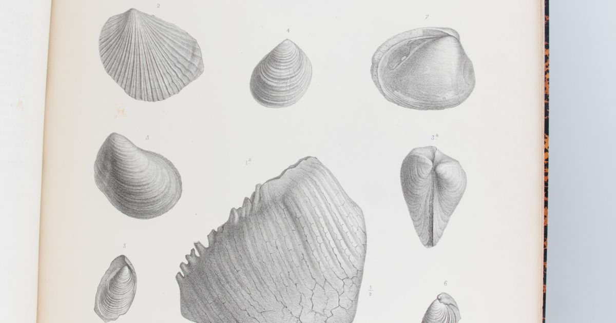 Alphonse Louis PINART • Voyages à la côte nord-ouest de l'Amérique ...