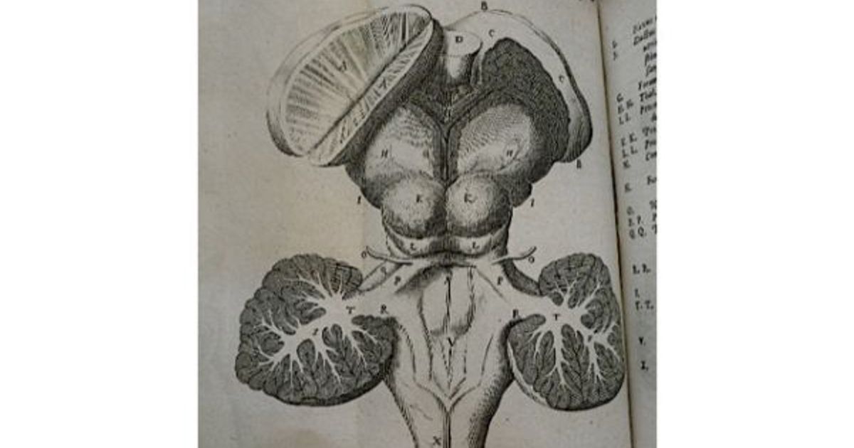 Thomas WILLIS • Cerebri anatome cui accessit nervorum descriptio et ...