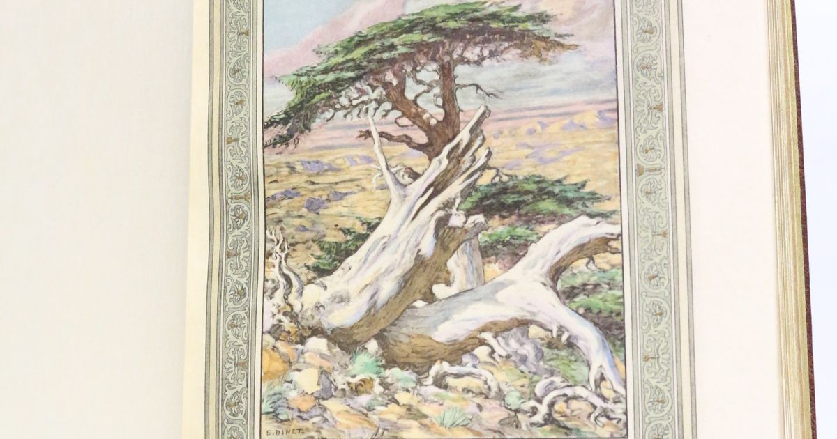 Sliman BEN IBRAHIM • El Fiafi Oua el Kifar ou le désert • 1905 ...