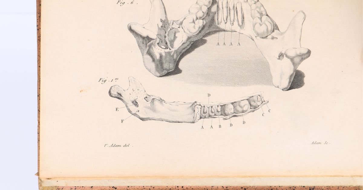 Étienne-Renaud-Augustin SERRES • [Essay on the Anatomy and Physiology ...