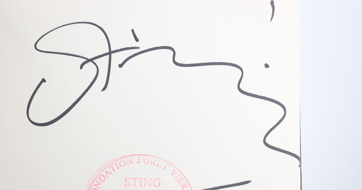 STING [Gordon Matthew Thomas SUMMER] • Amazonie - Lutte pour la Vie ...