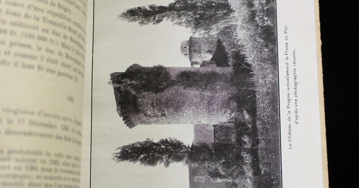 POT • Histoire de Régnier Pot conseiller des ducs de Bourgogne 1362 ...